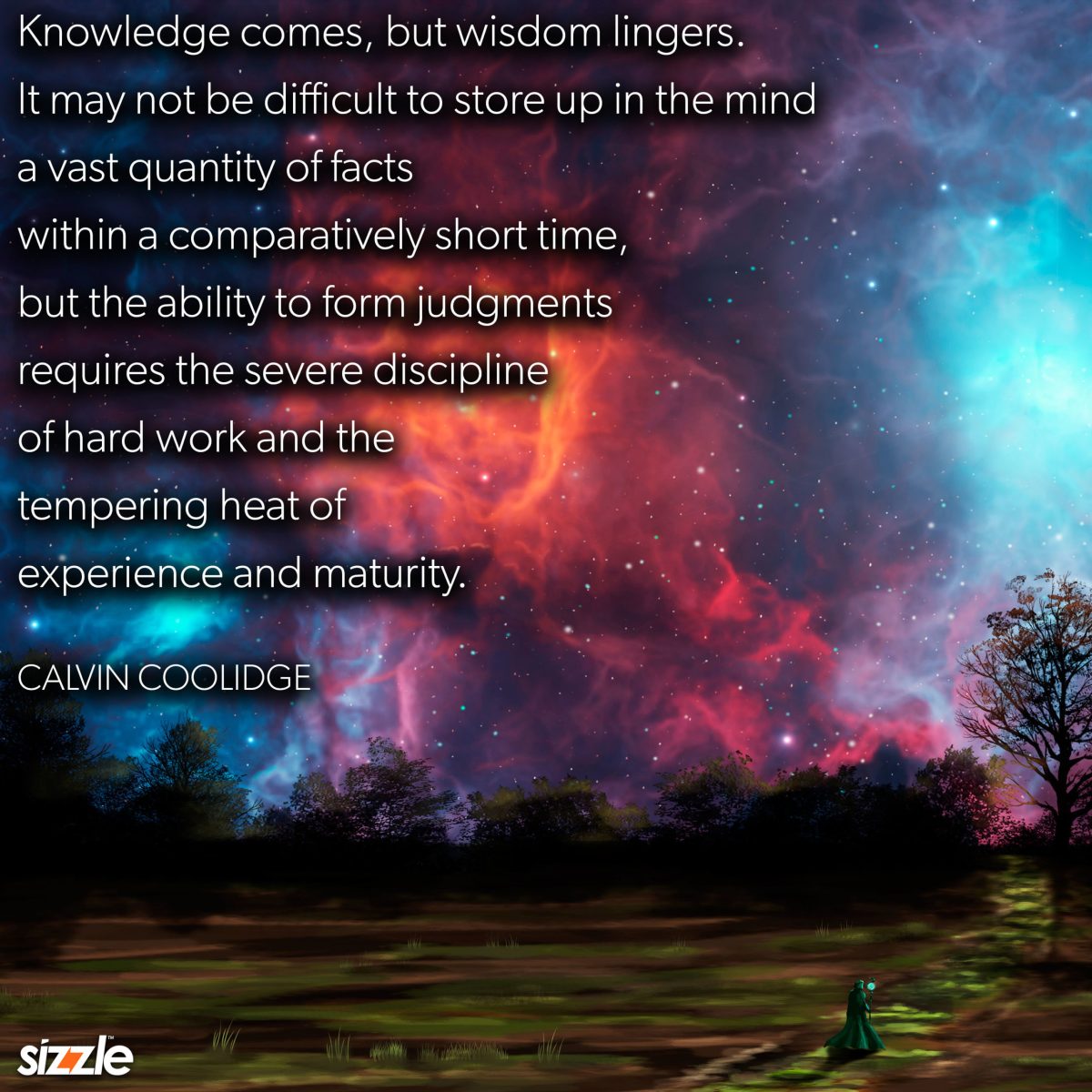 Knowledge comes, but wisdom lingers. – Brian Weiner