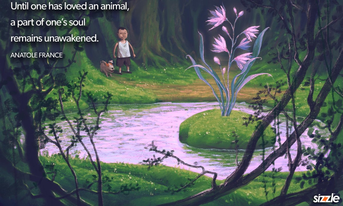 Until one has loved an animal, a part of one’s soul remains unawakened ...