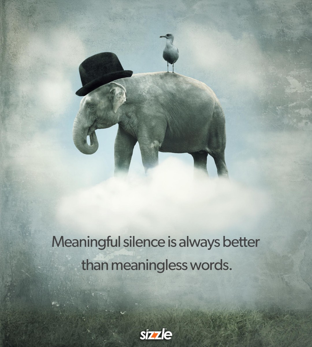 Meaningful silence is always better than meaningless words. – Brian Weiner